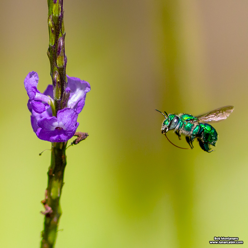 Green New Year 2023 – Range Tracking