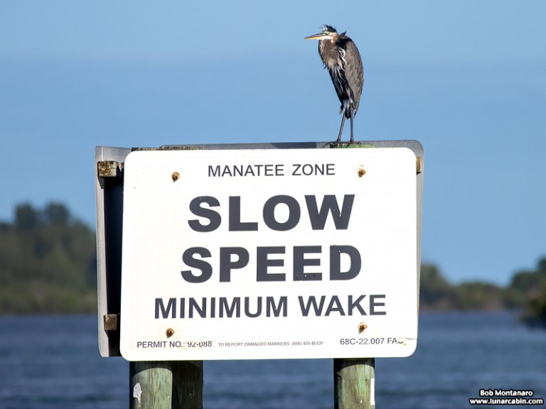 Slow Speed – Range Tracking