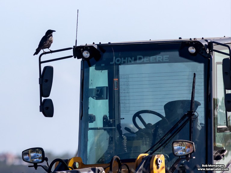 Industrial Perch – Range Tracking